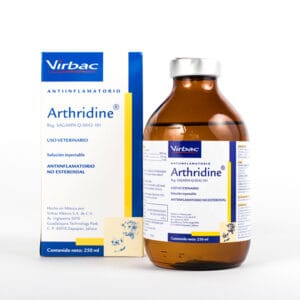 🥇 #1 Arthridine: Tratamiento de artritis